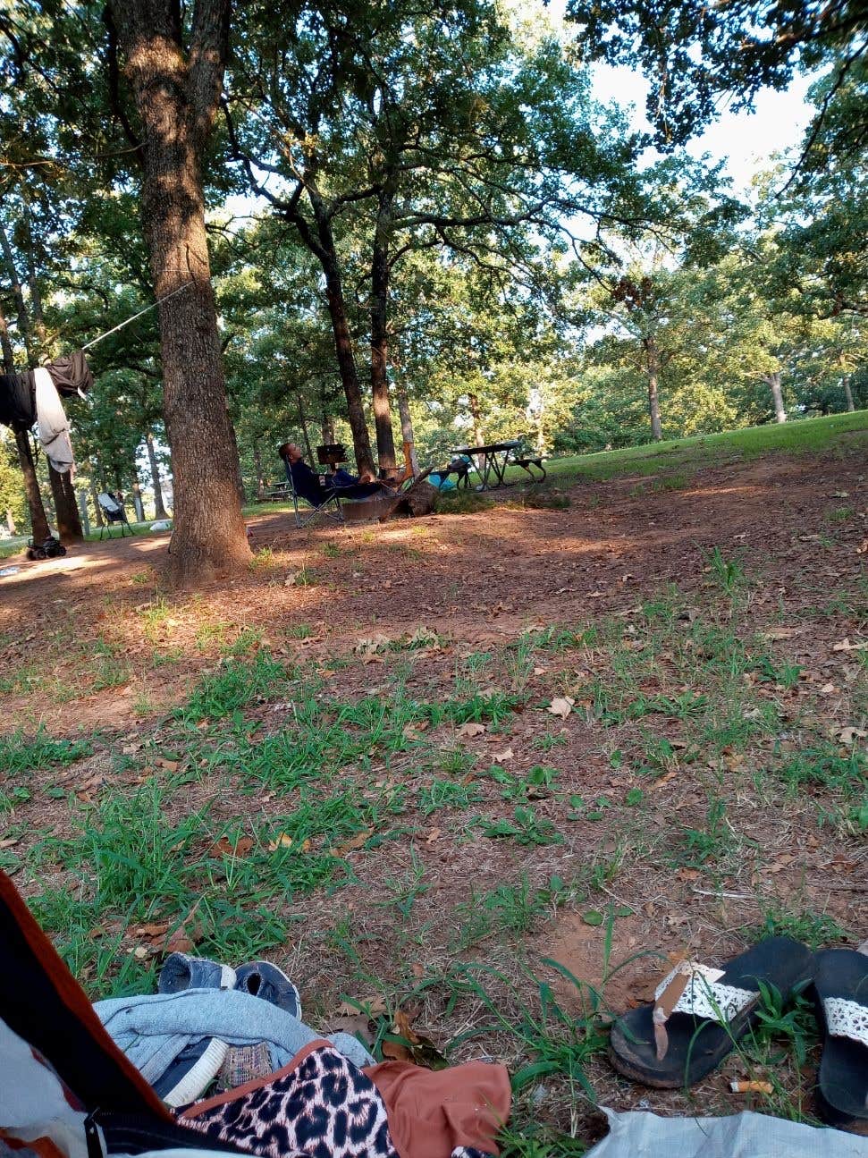 Bell Cow Lake Campground C | The Dyrt