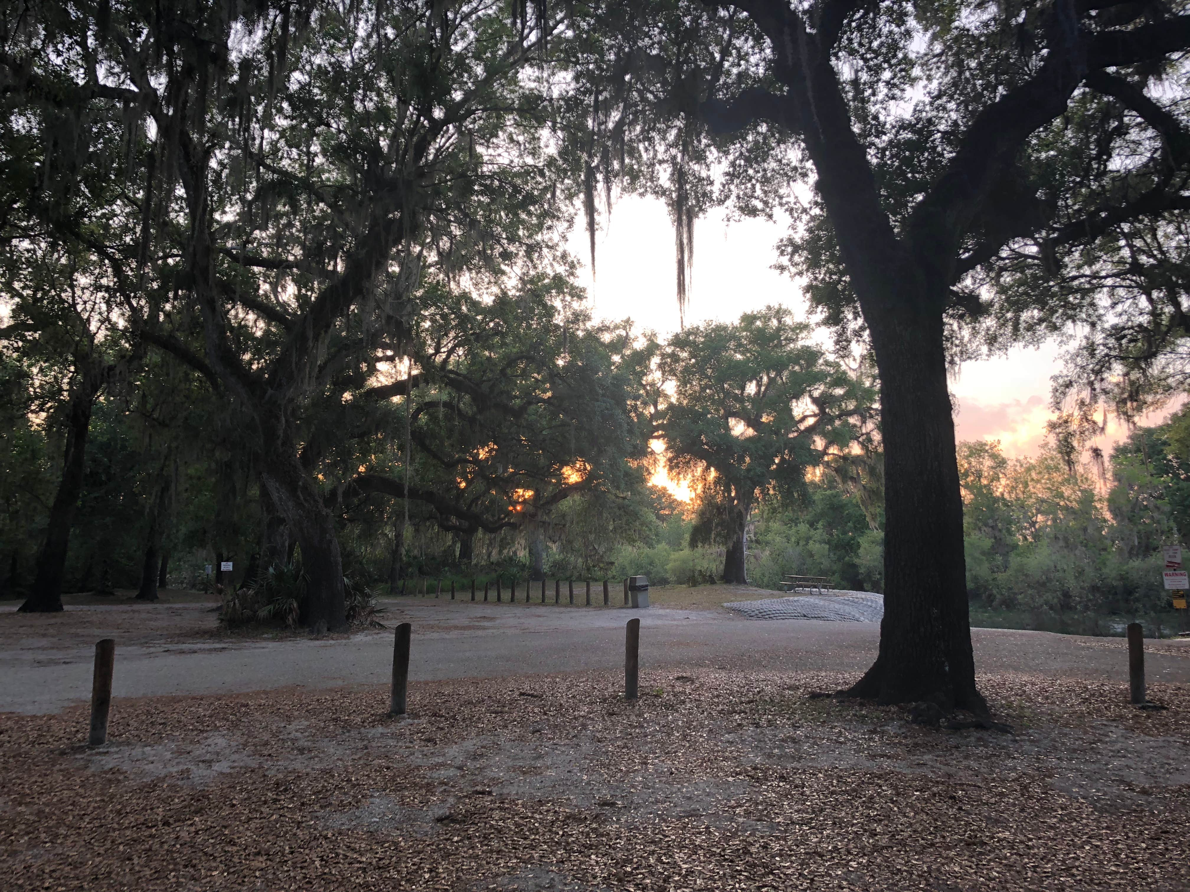Thousand Trails Peace River Camping | Ona, Florida