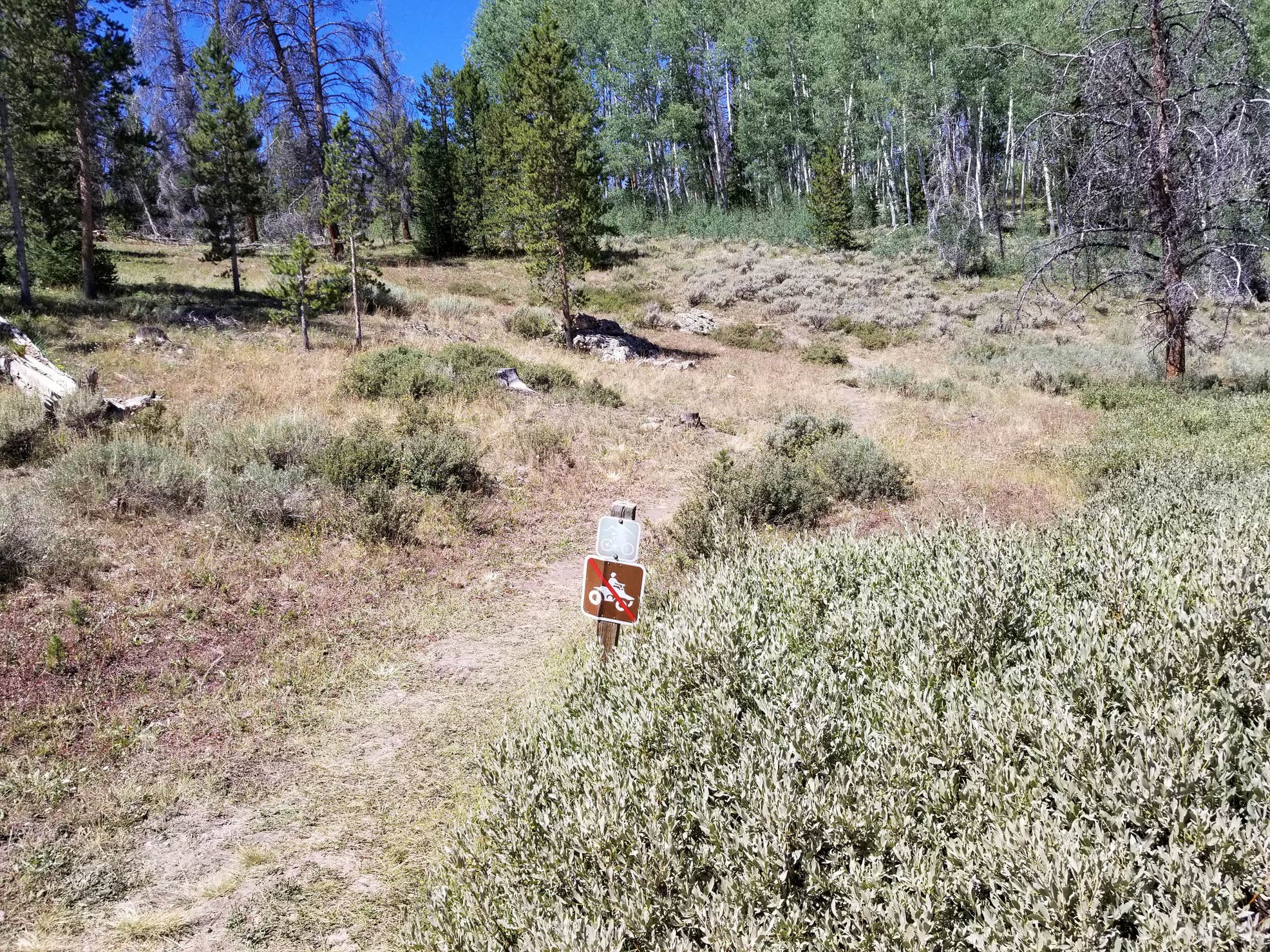 Marsh Lake Campground | The Dyrt