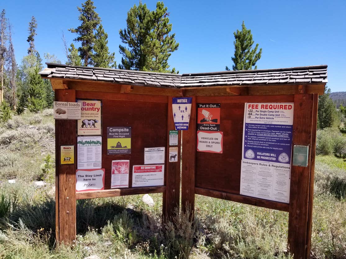 Marsh Lake Campground | The Dyrt