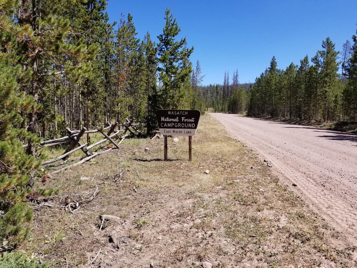 Marsh Lake Campground | The Dyrt