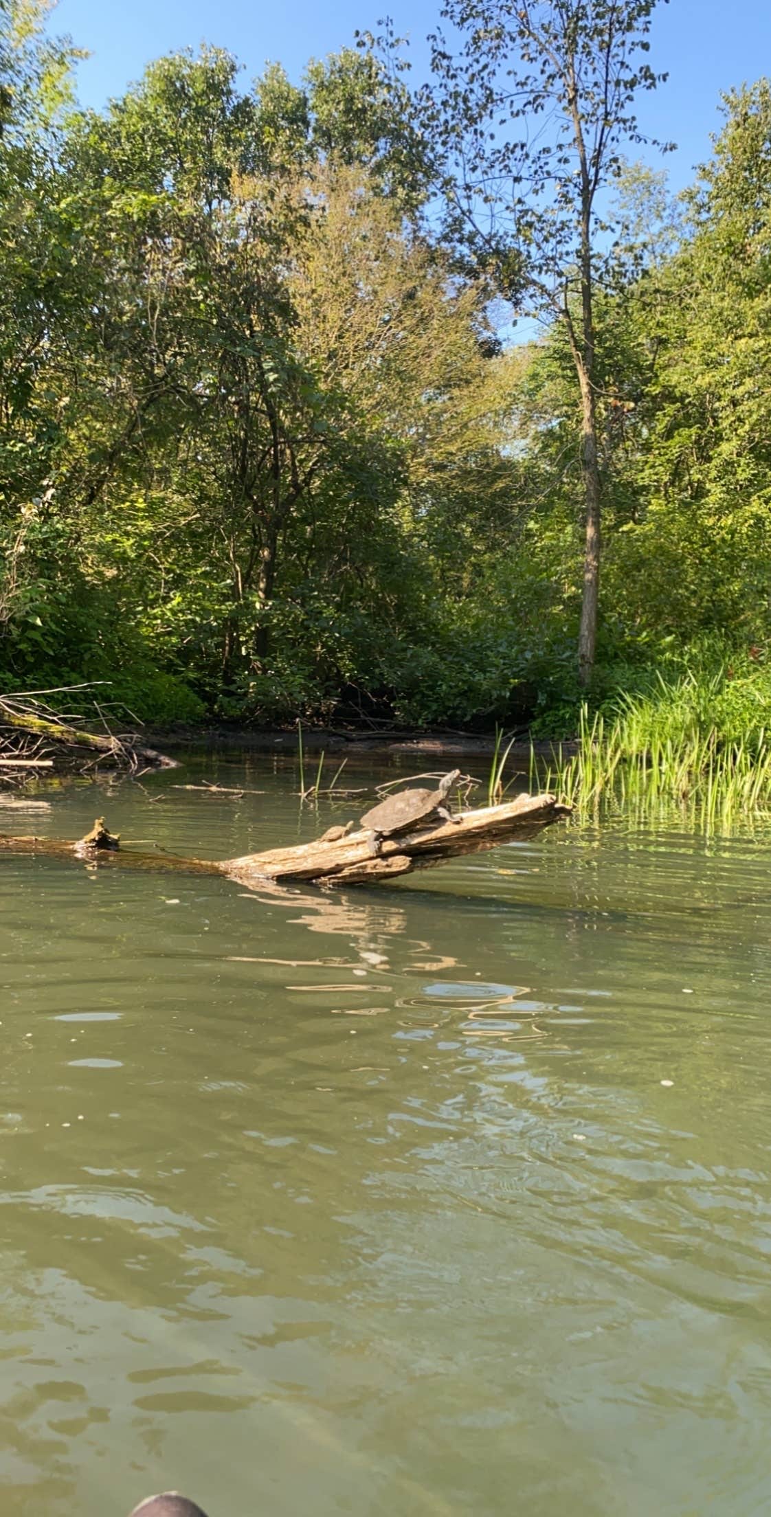 Indian Lakes Campground Camping | The Dyrt