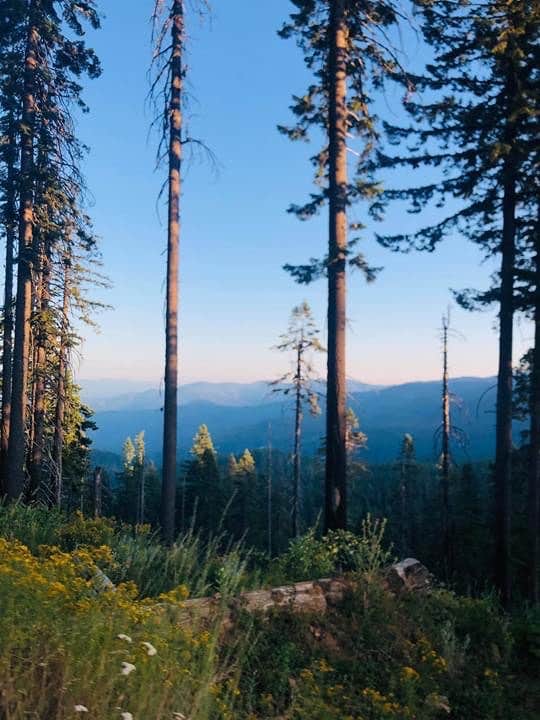 Bolan Lake Campground | O'Brien, Oregon
