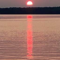 COE Nimrod Lake Carter Cove Campground | Nimrod Lake, Arkansas