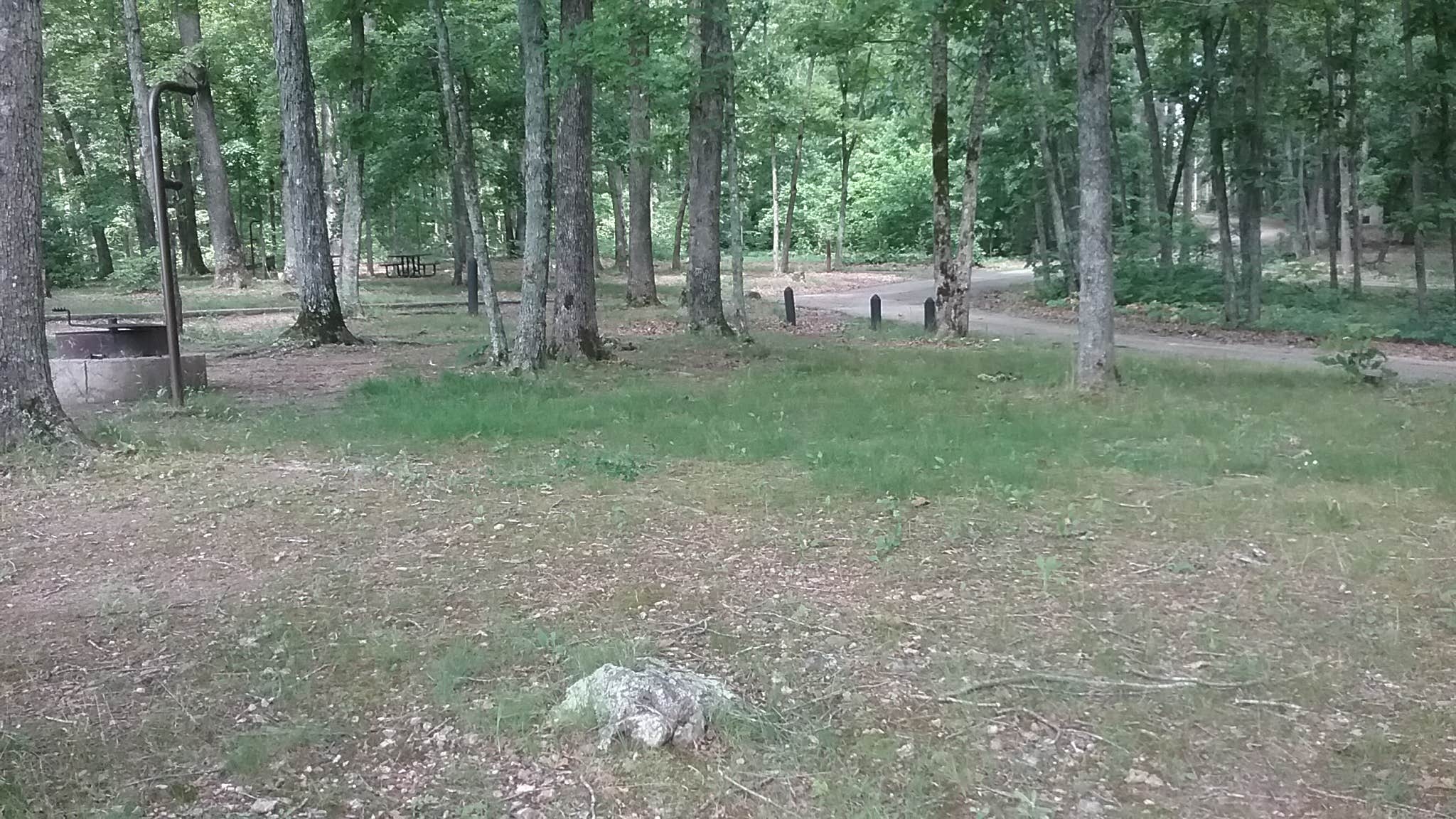 Red Bluff Campground | The Dyrt