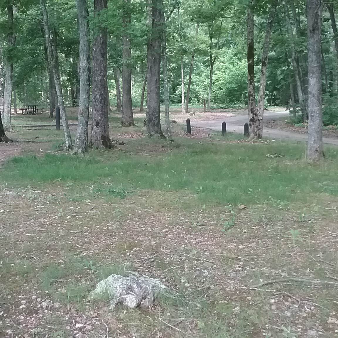 Red Bluff Campground | Davisville, Missouri