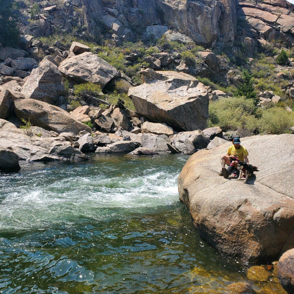 Elephant Rock Campground Camping | The Dyrt