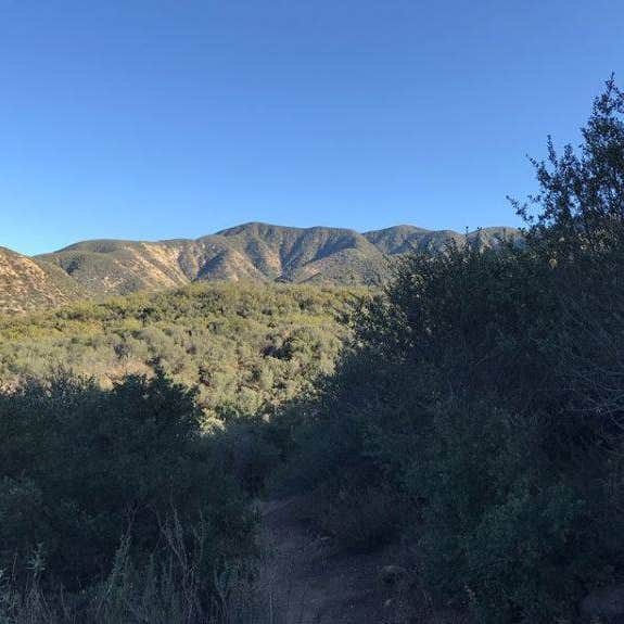 Dripping Springs Campground Camping | Temecula, CA | The Dyrt