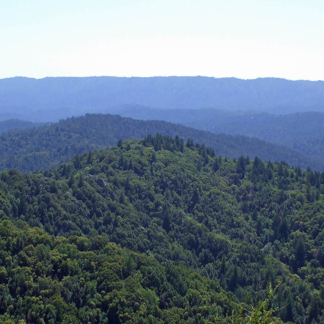 Castle Rock Trail Camp Camping | The Dyrt