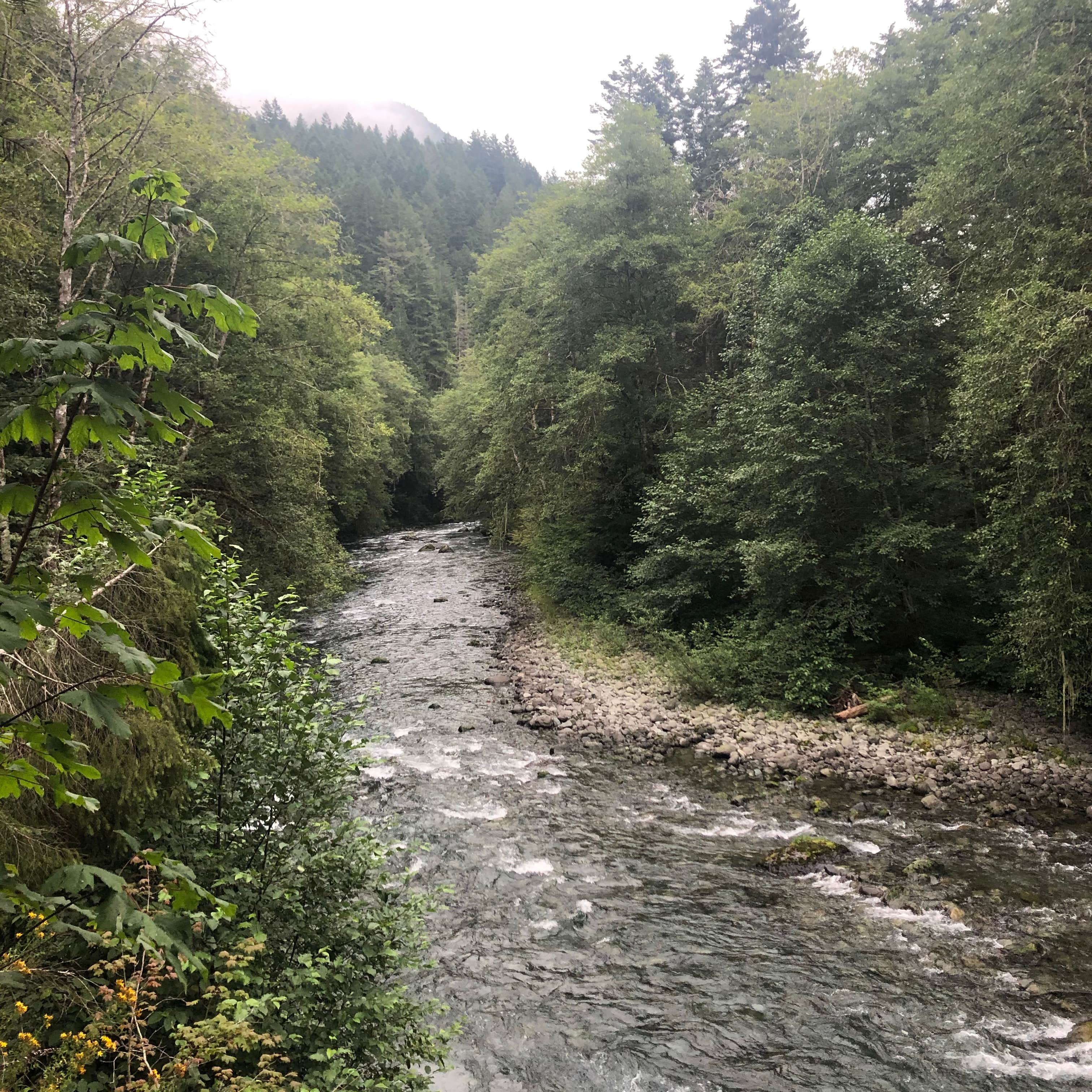 Collins Campground Camping | The Dyrt