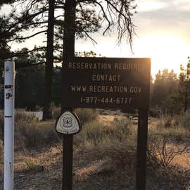 Angeles National Forest Meadow Group Campground Camping | The Dyrt