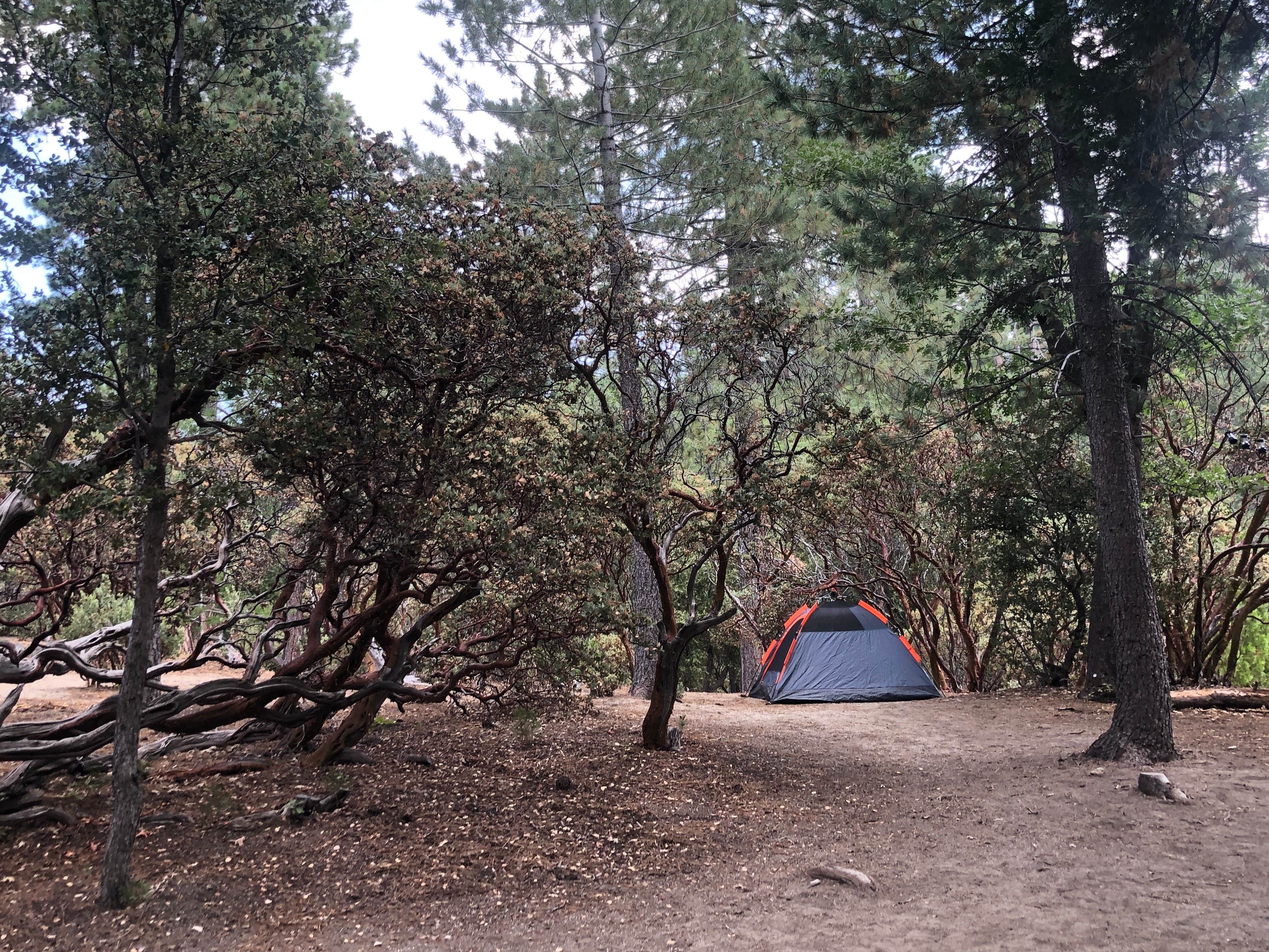 Stone Creek Campground | The Dyrt