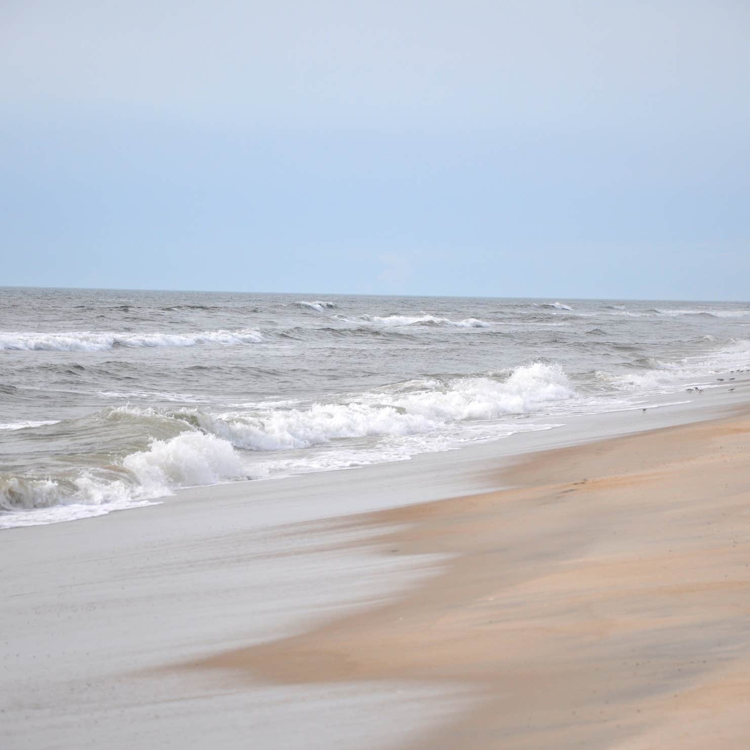 Little Levels Backcountry Site — Assateague Island National Seashore ...