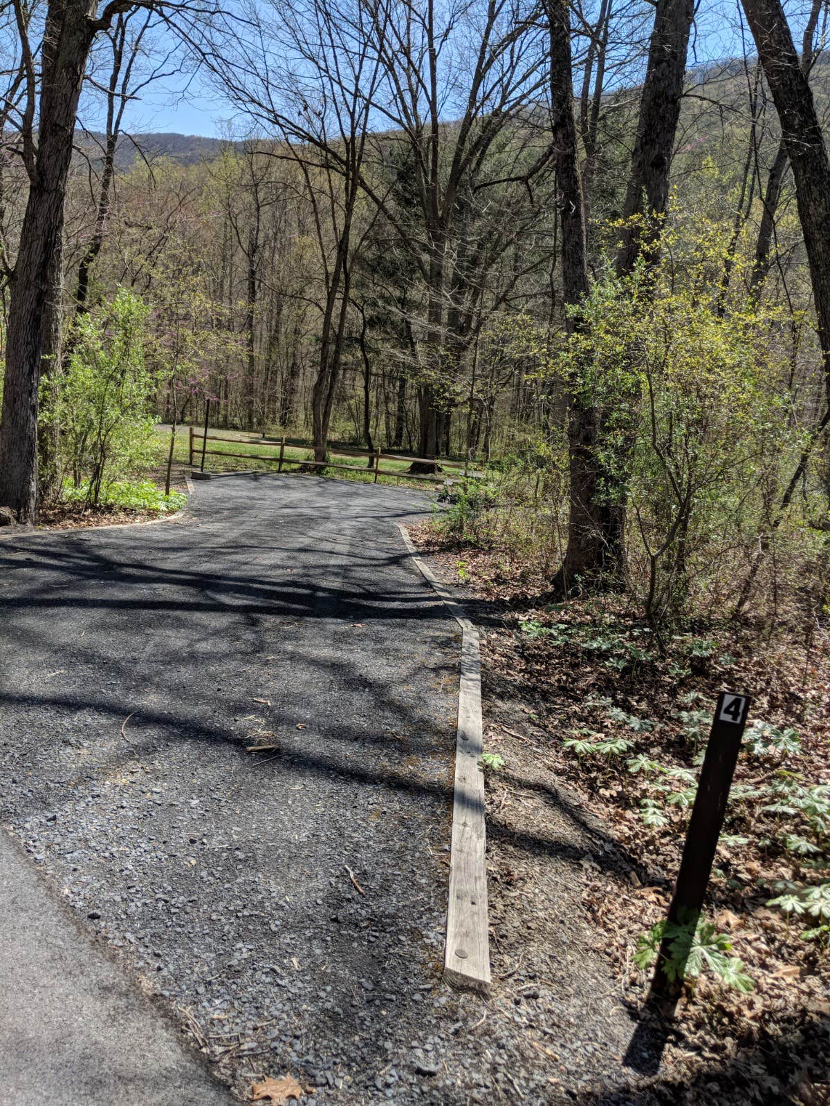 Elizabeth Furnace Recreation Area | The Dyrt