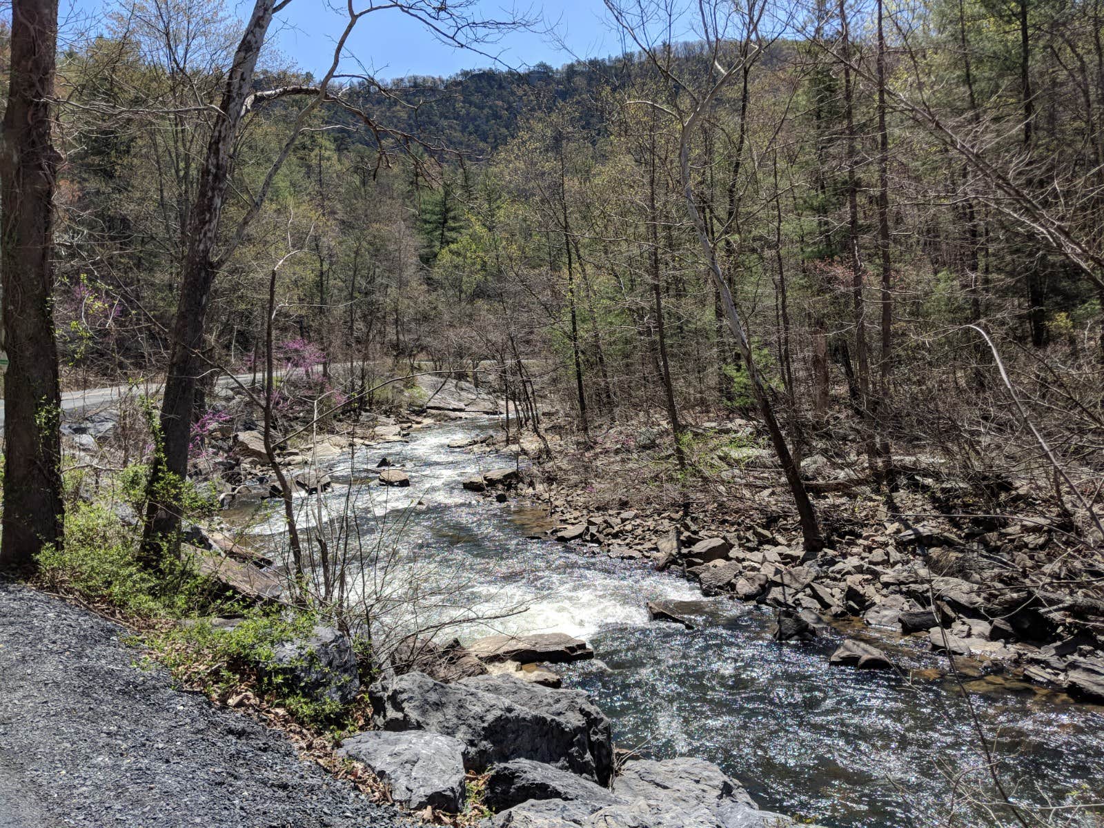 Elizabeth Furnace Recreation Area | The Dyrt