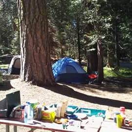 Crystal Springs Campground — Kings Canyon National Park | Hume, California