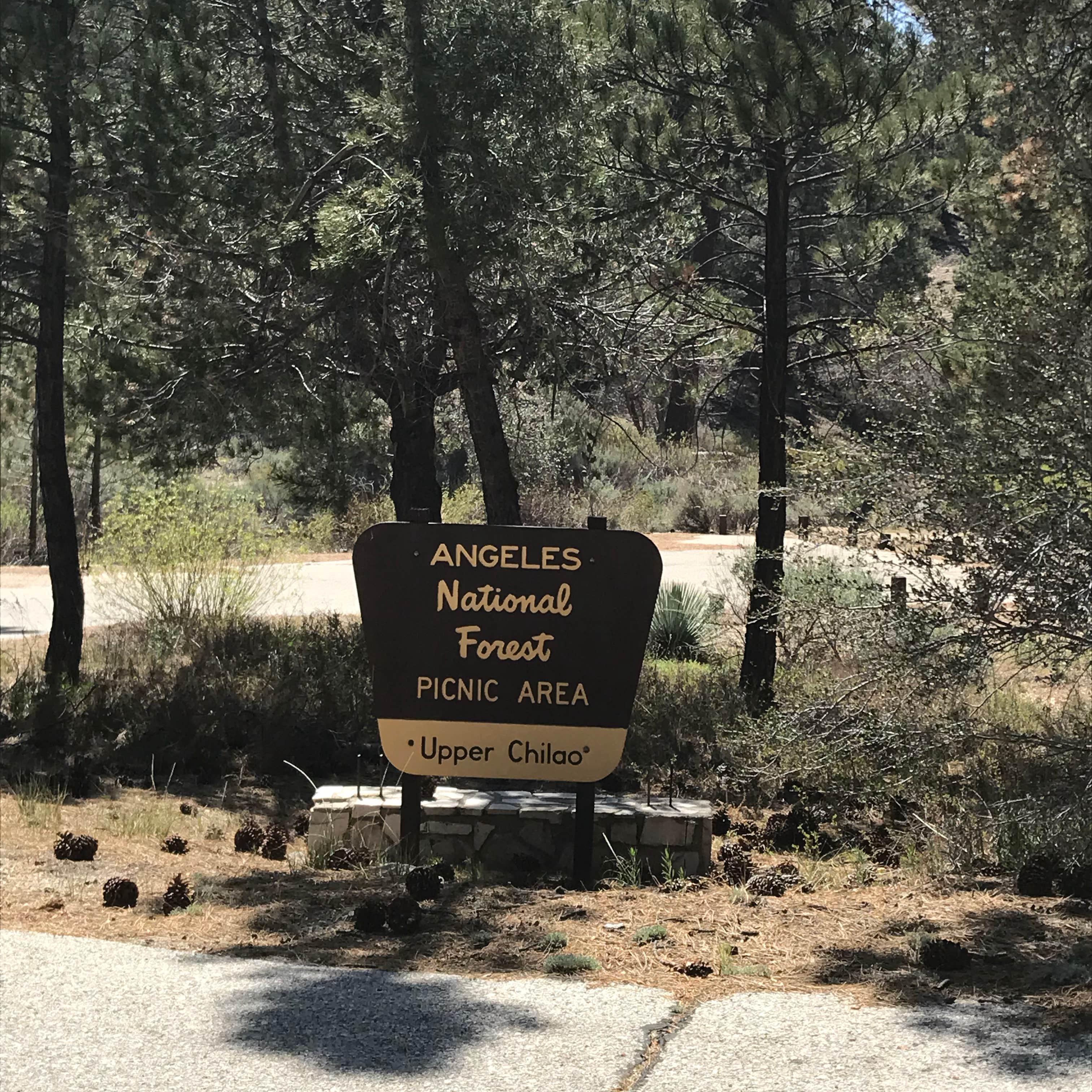 Angeles National Forest Meadow Group Campground | Acton, CA