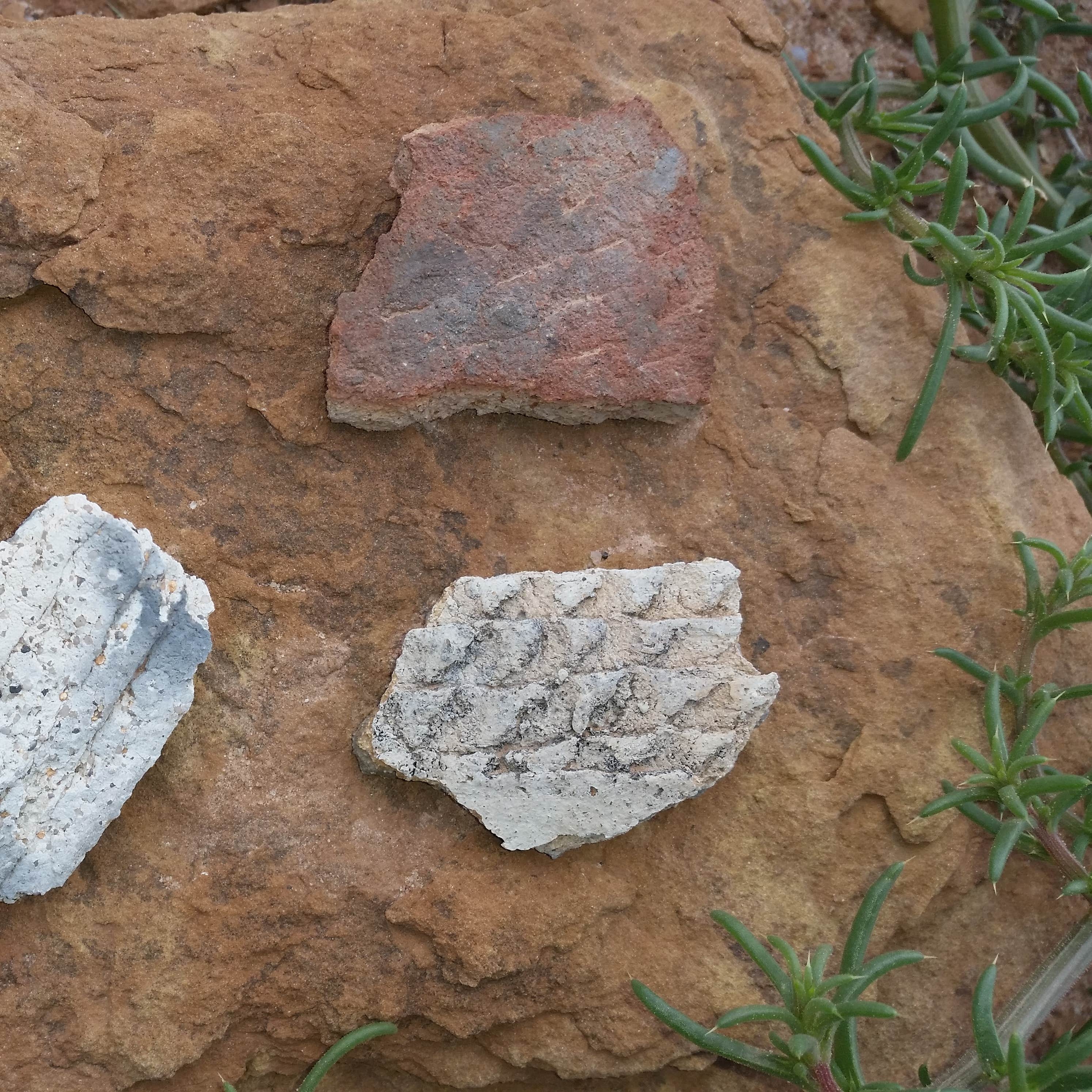 Homolovi State Park Camping | The Dyrt