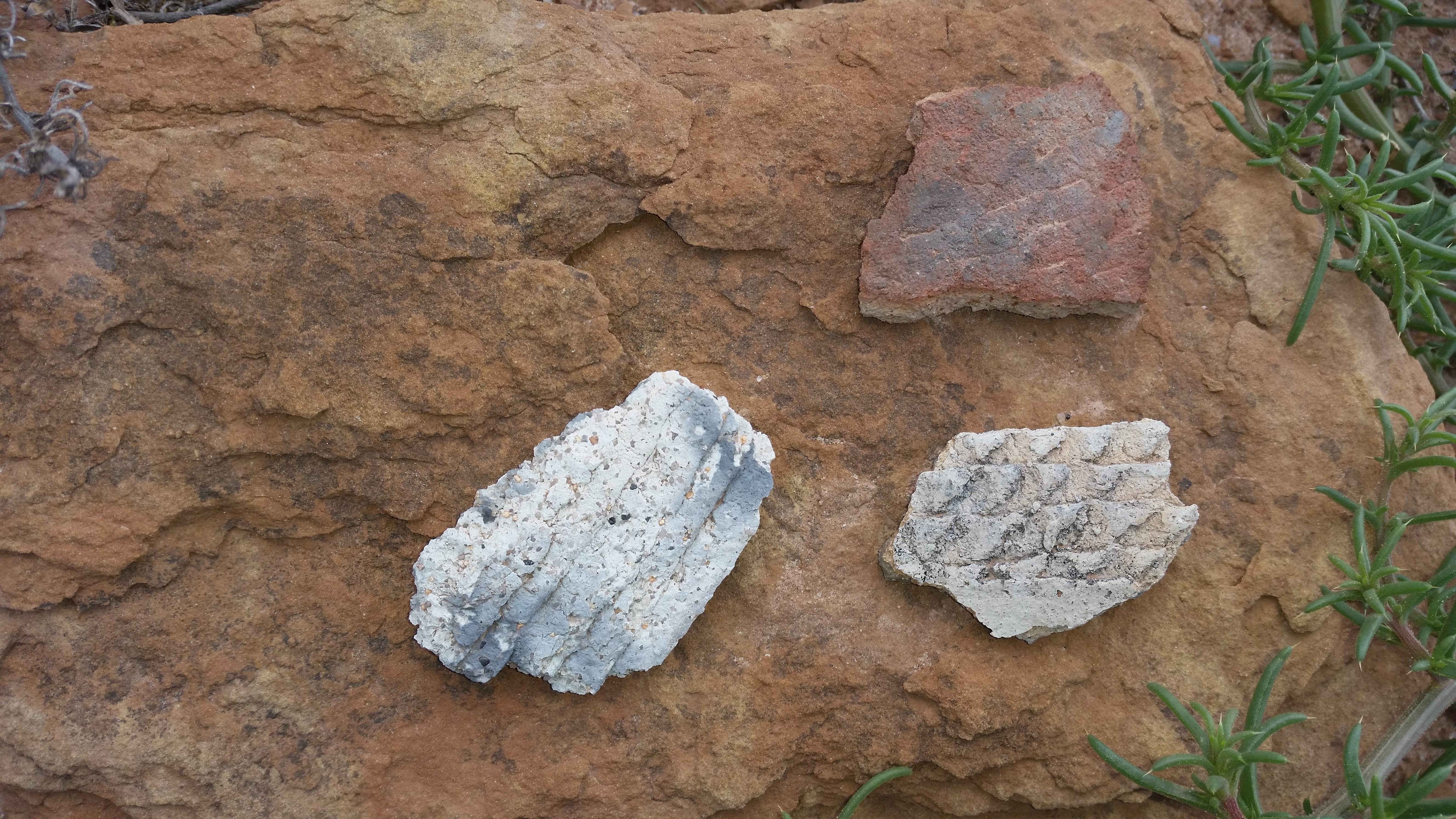 Homolovi State Park Campground | Winslow, AZ