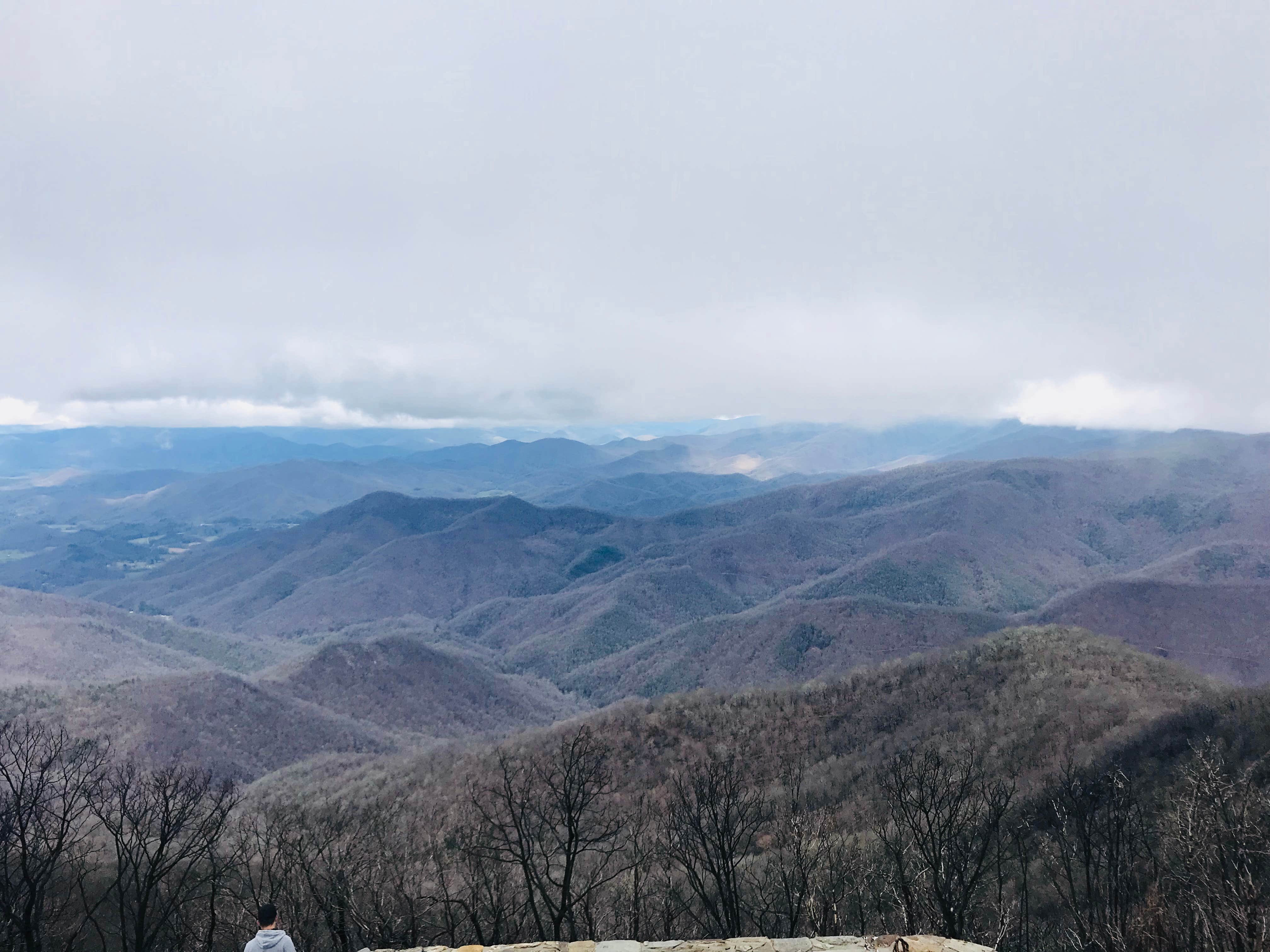 Wayah Bald Shelter | The Dyrt