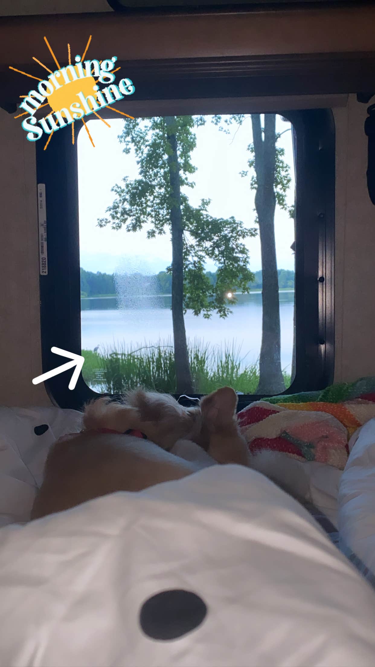 Decatur / Wheeler Lake KOA Holiday Camping | Trinity, Alabama