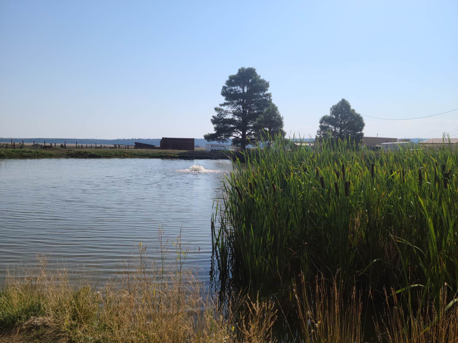 Mormon Lake Lodge RV Park & Campground Camping | The Dyrt