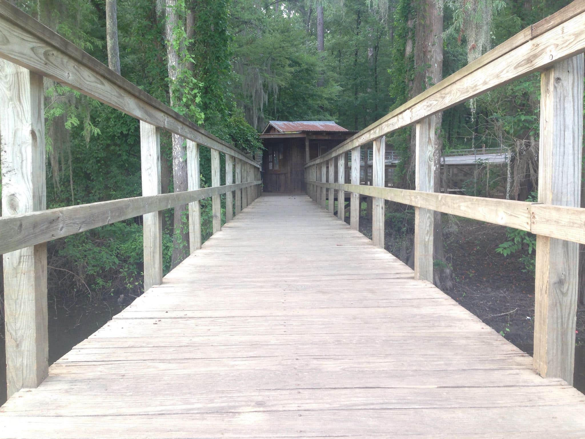 Caddo Lake State Park Campground | Karnack, TX