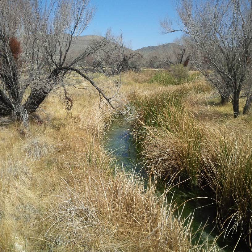 Shoshone - Tecopa - Dispersed Camping | The Dyrt