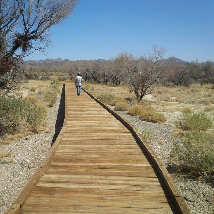 Shoshone - Tecopa - Dispersed Camping | The Dyrt