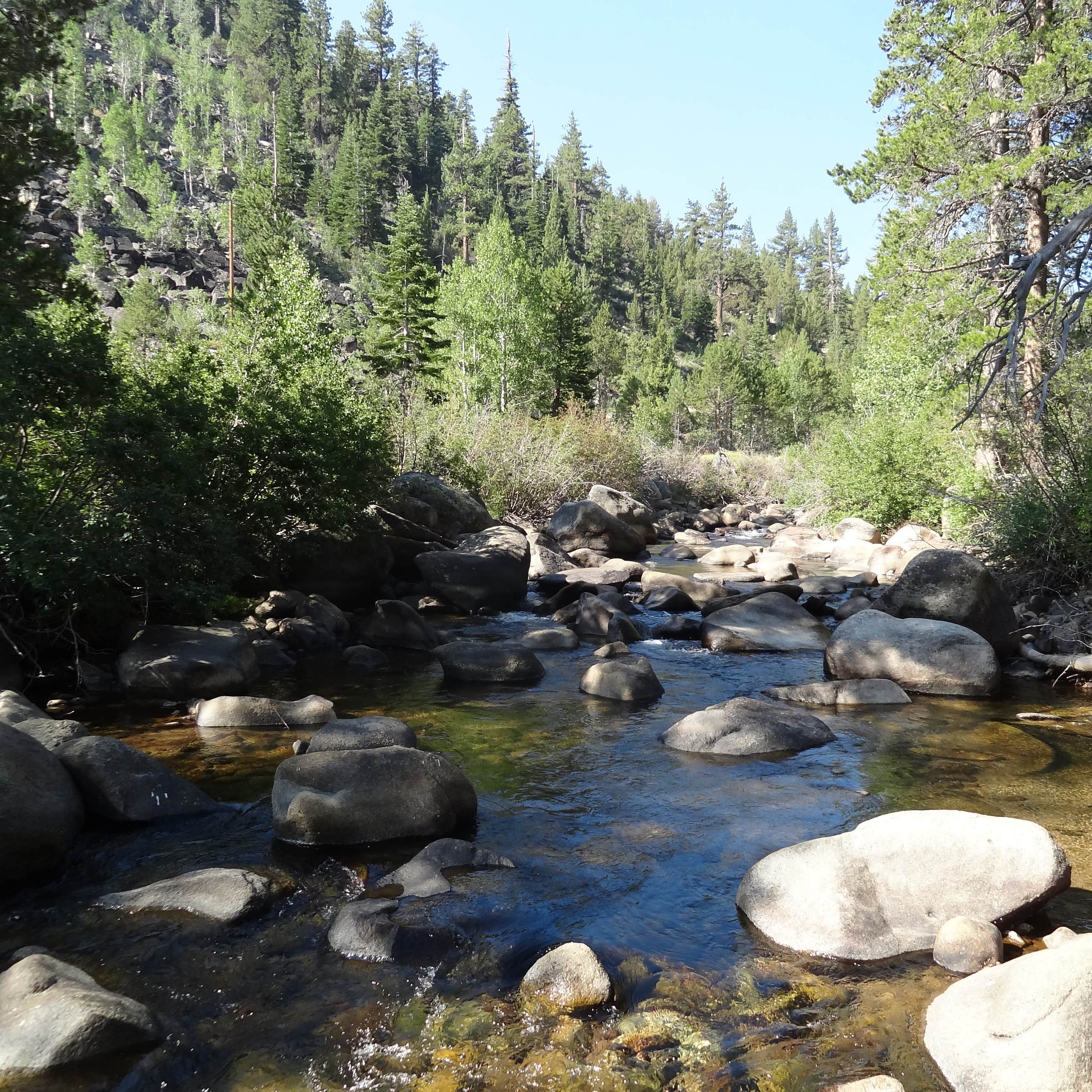 Kit Carson Campground | Markleeville, California