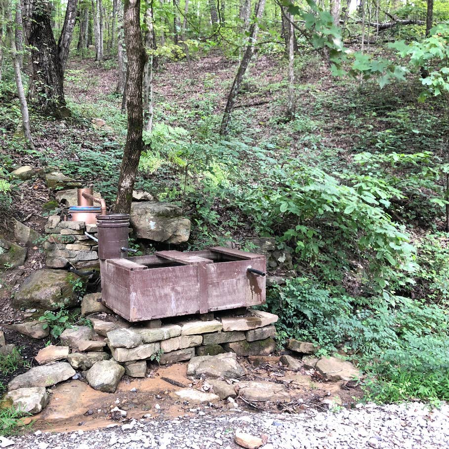 Prentice Cooper State Forest Dispersed Camping | Signal Mountain, Tennessee