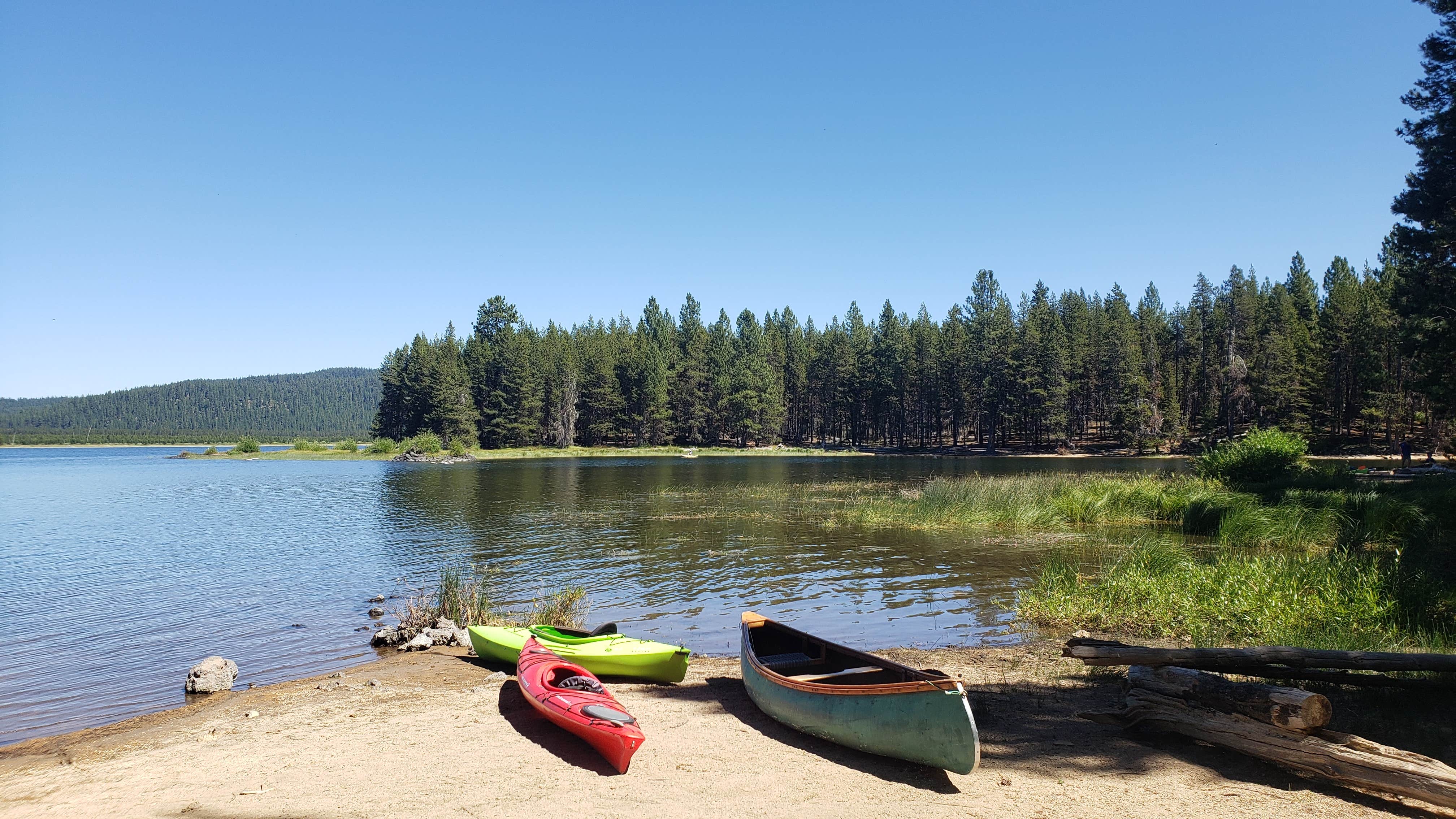 Crane Prairie Resort | The Dyrt