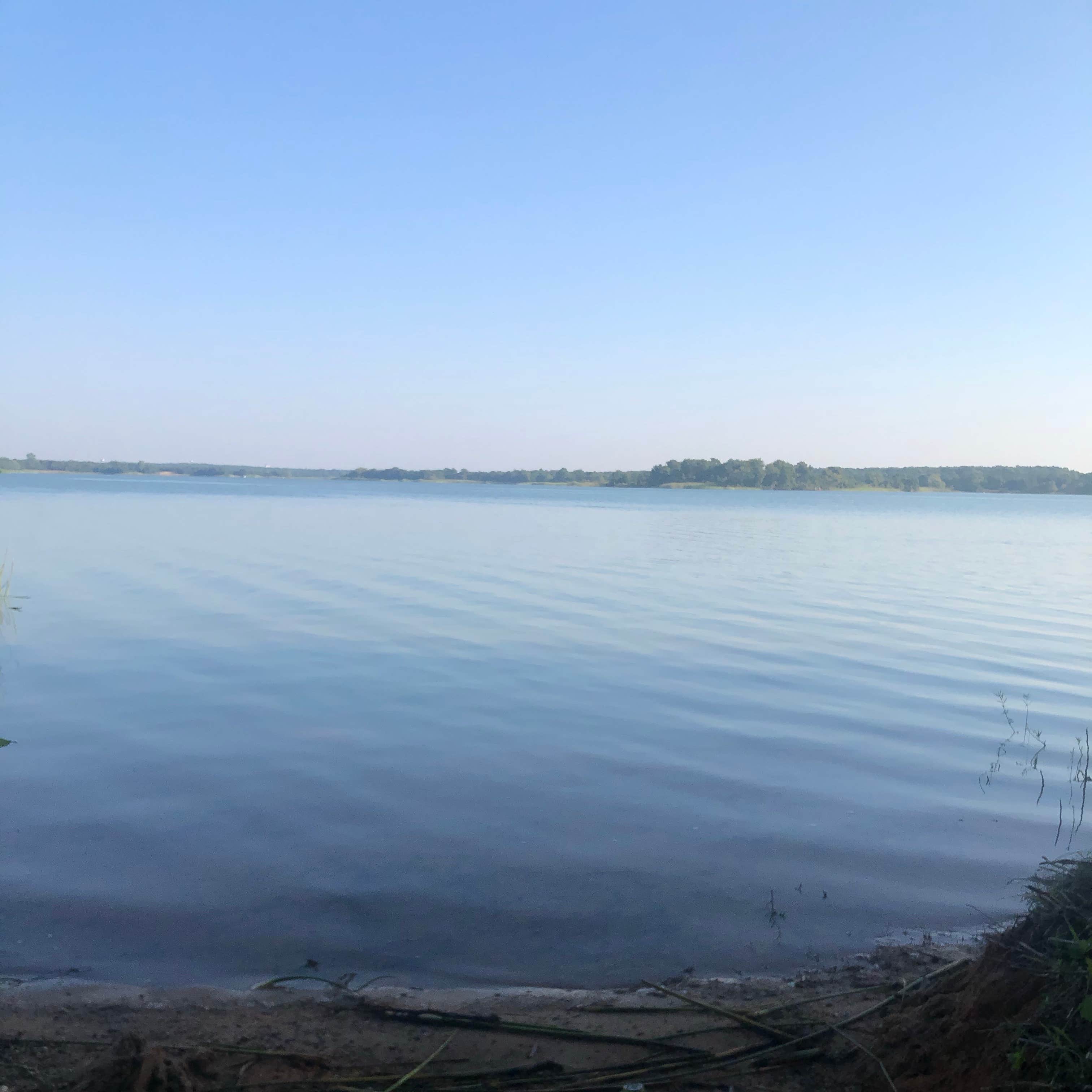 Cedar Grove Campground Camping | The Dyrt