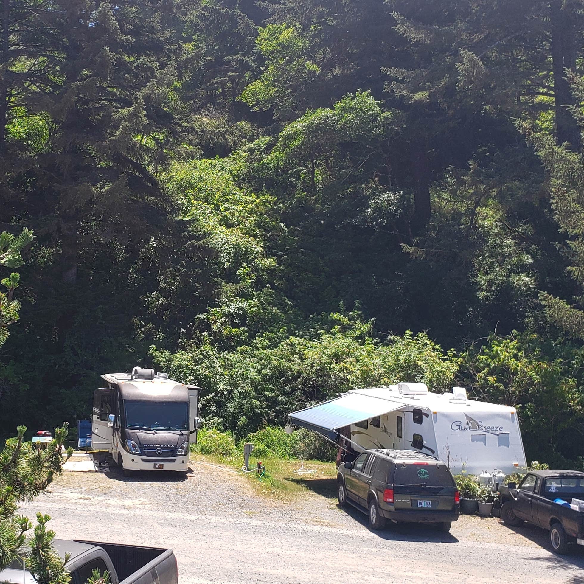 Turtle Rock RV Resort Camping | The Dyrt