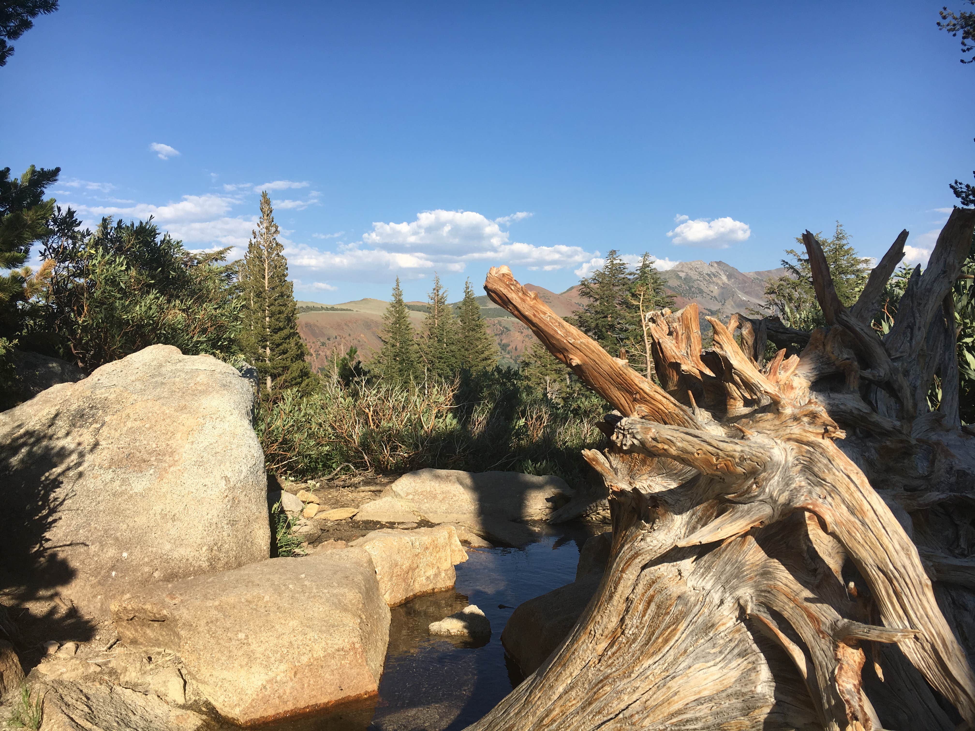 June Lake Campground | June Lake, CA