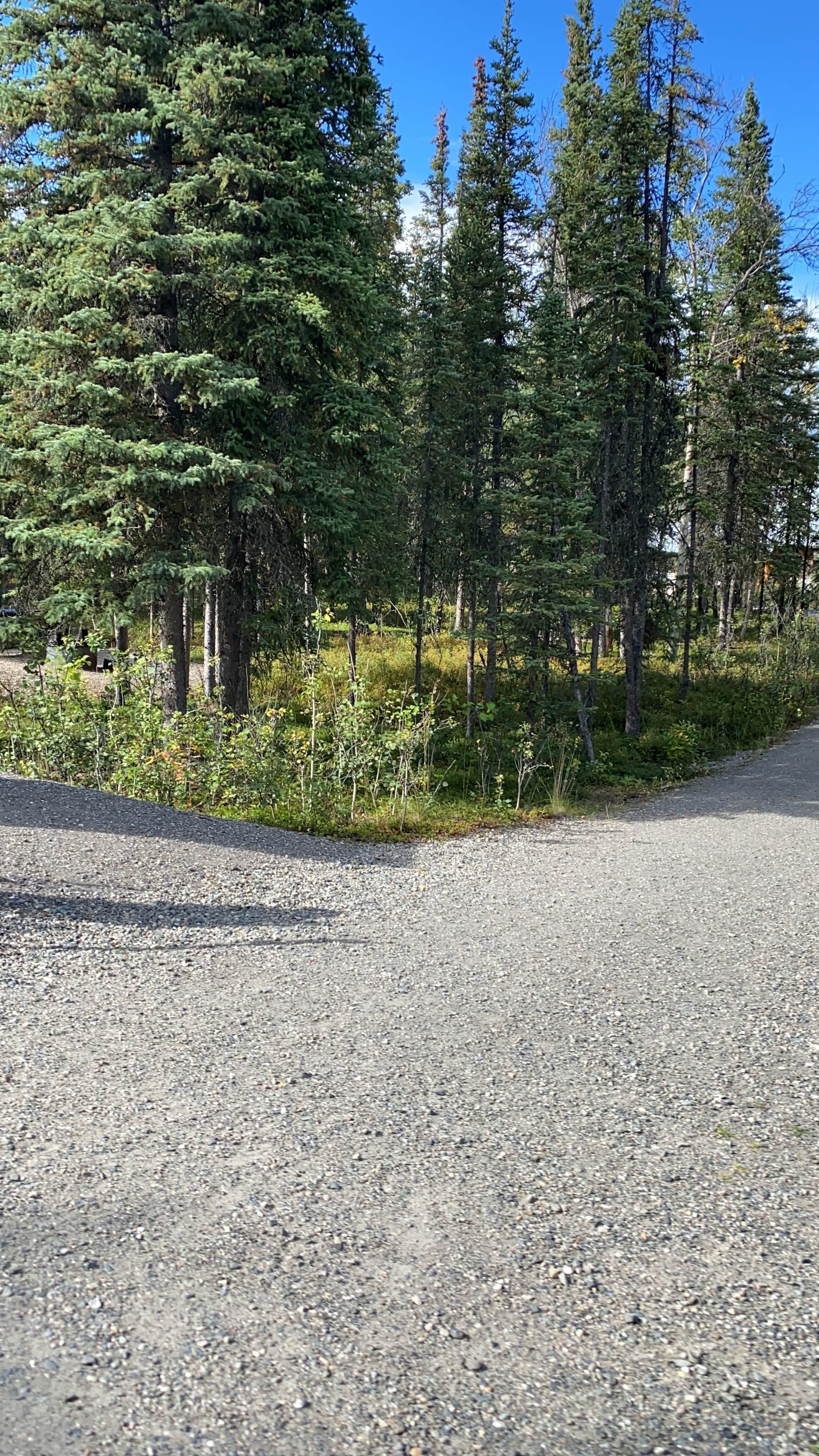 Riley Creek Campground | The Dyrt