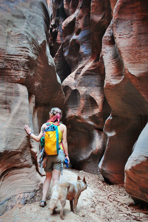 Dispersed Camping in Dixie National Forest Camping | The Dyrt