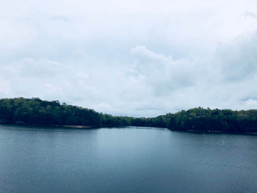 Holly Bay Camping | The Dyrt