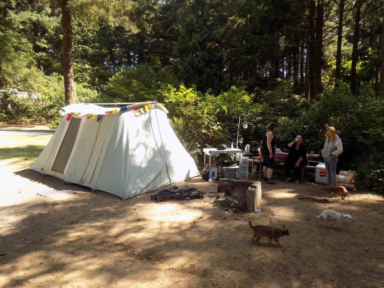 Bastendorff Beach Park Camping | Coos Bay, Oregon