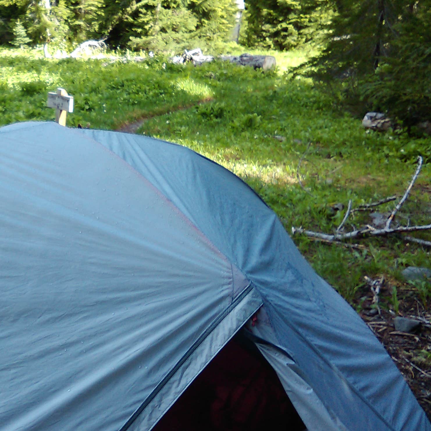 Sol Duc Hot Springs Resort Campground Camping | The Dyrt