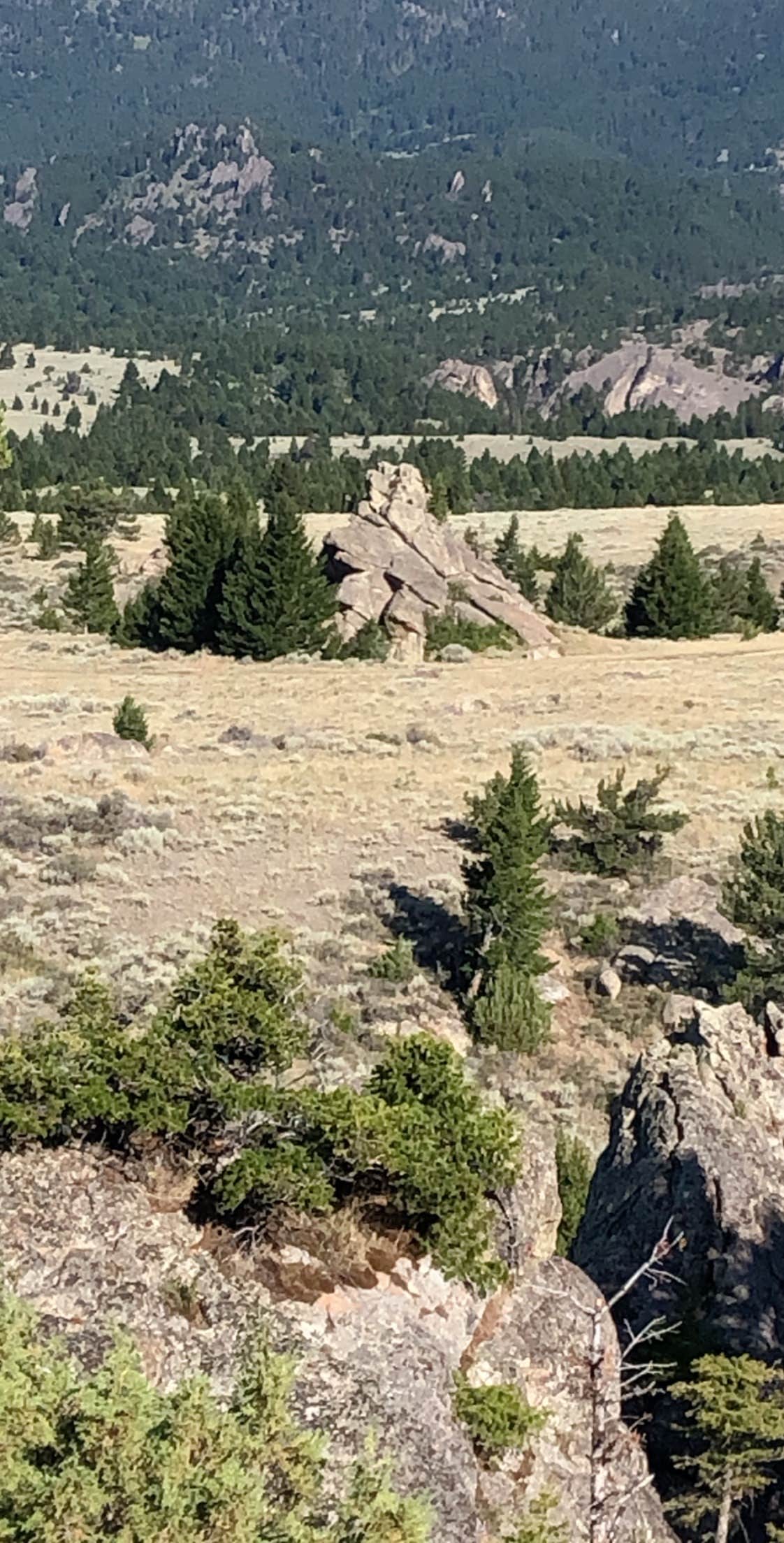 Revenue Flats | The Dyrt