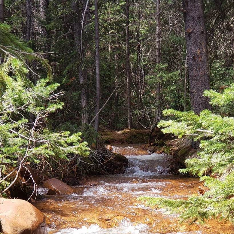 Geneva Park Campground Camping | The Dyrt