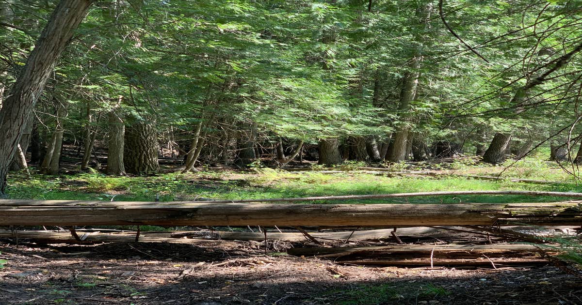Copper Creek Campground | Porthill, Idaho
