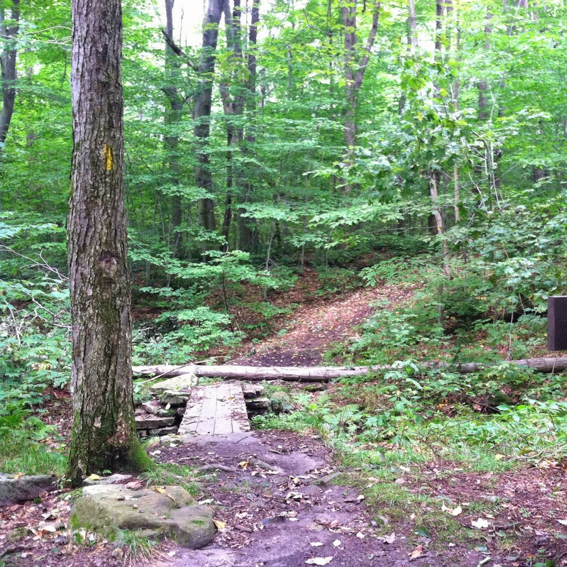 Laurel Ridge State Park Camping | The Dyrt Laurel Ridge State Park Camping | The Dyrt