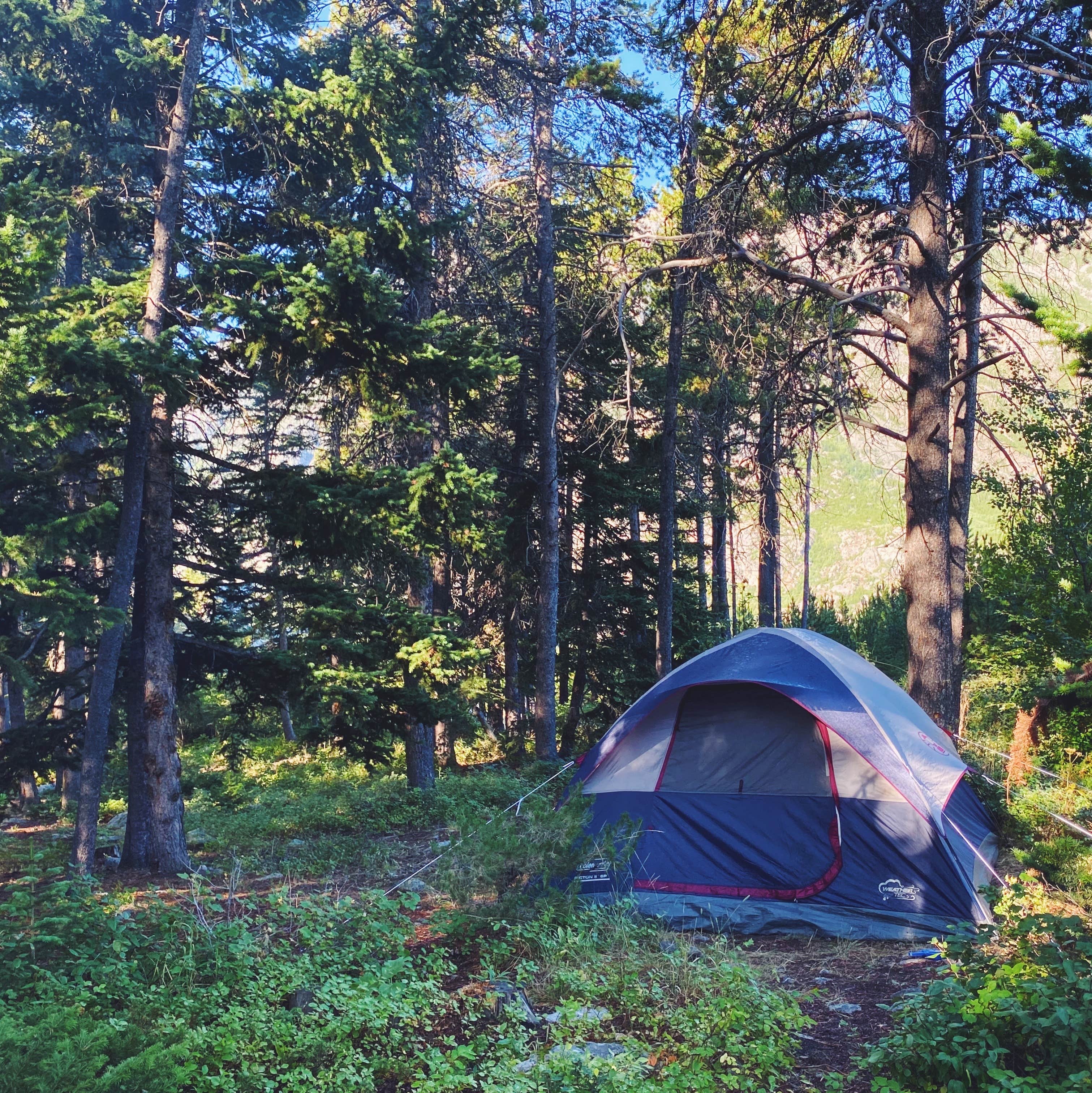 East Rosebud Campground | The Dyrt