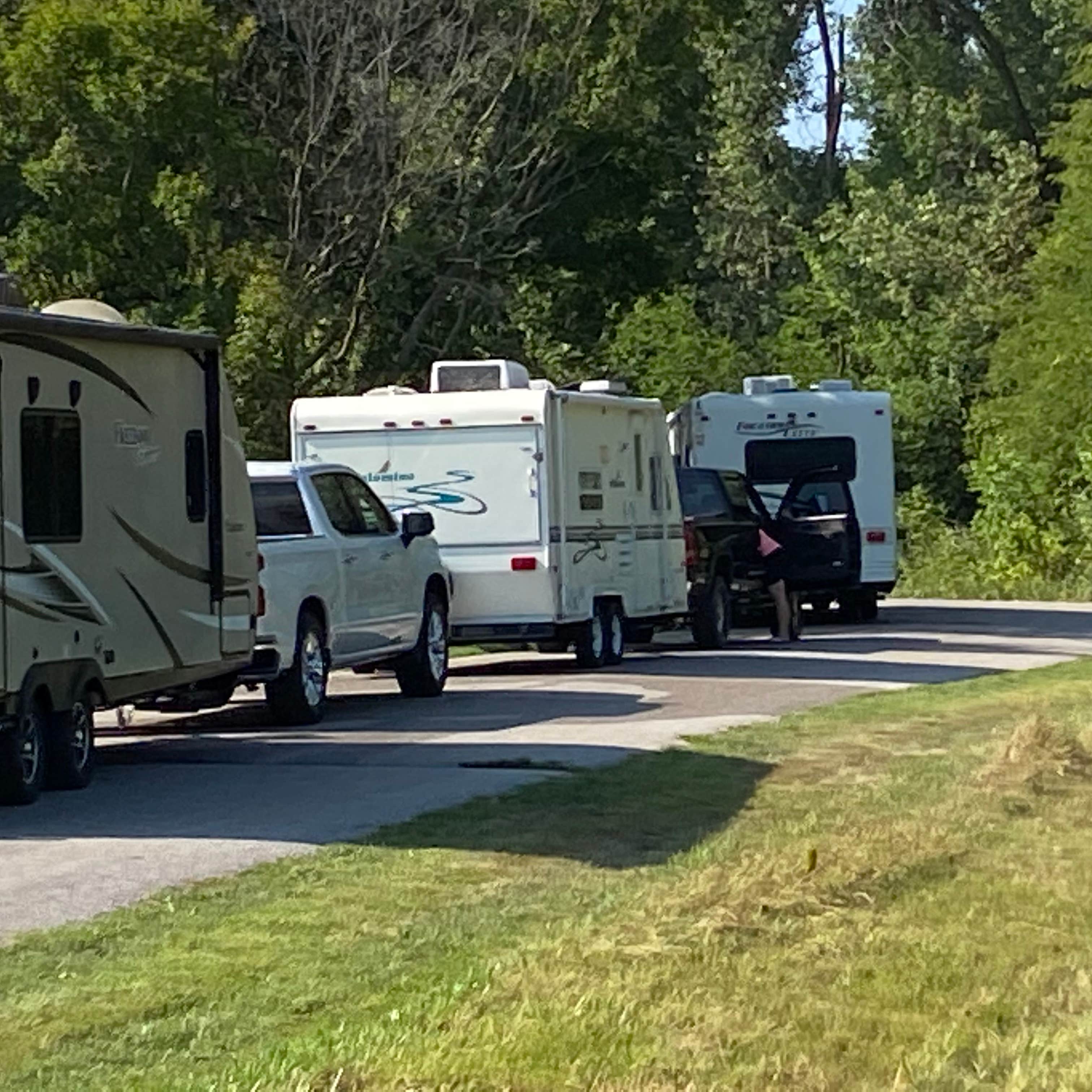 Fawn Meadows - Two Rivers SRA Camping | The Dyrt