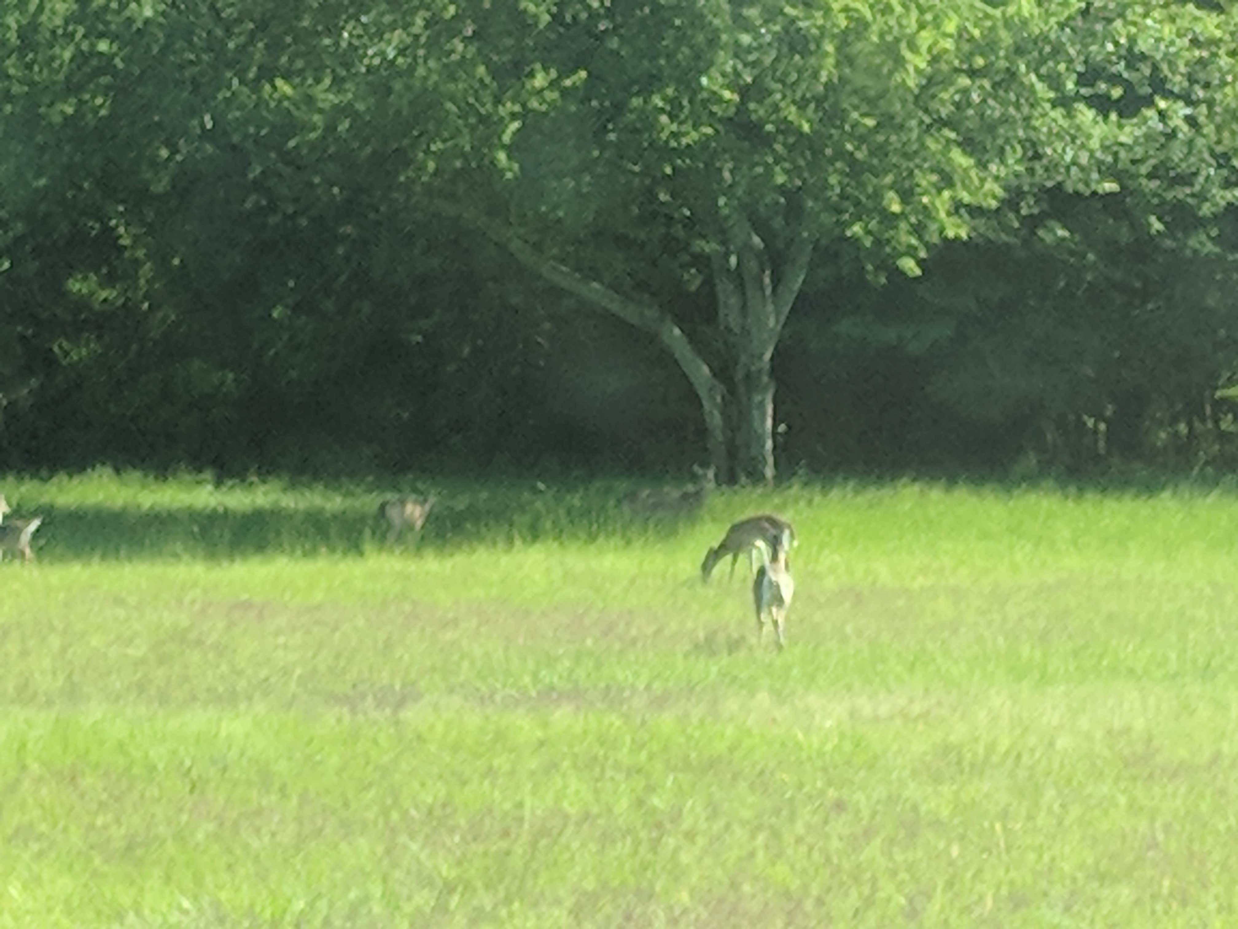 Wind Point Park Camping | Lone Oak, Texas