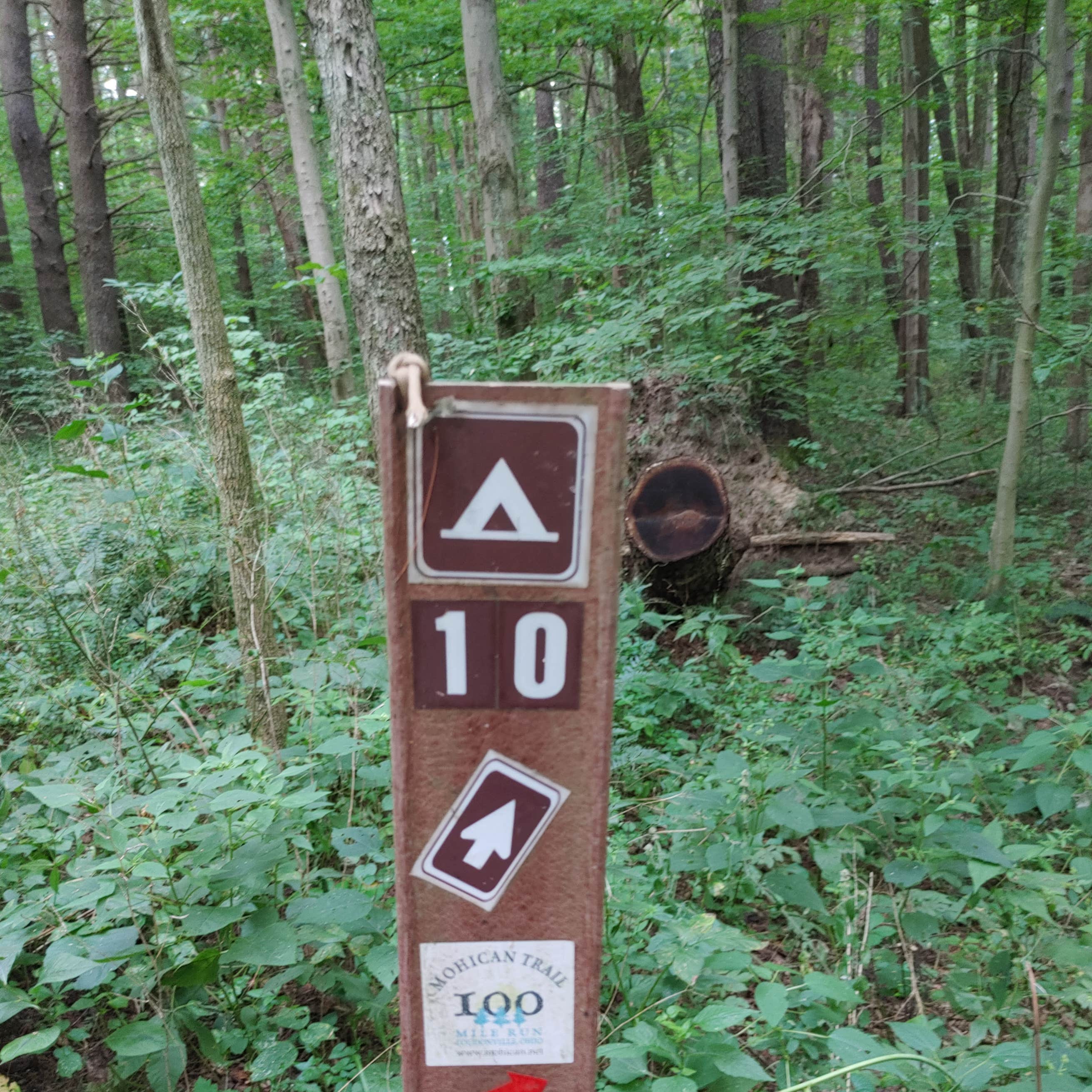 Mohican Memorial State Forest Park & Pack, Site #10 Camping | The Dyrt