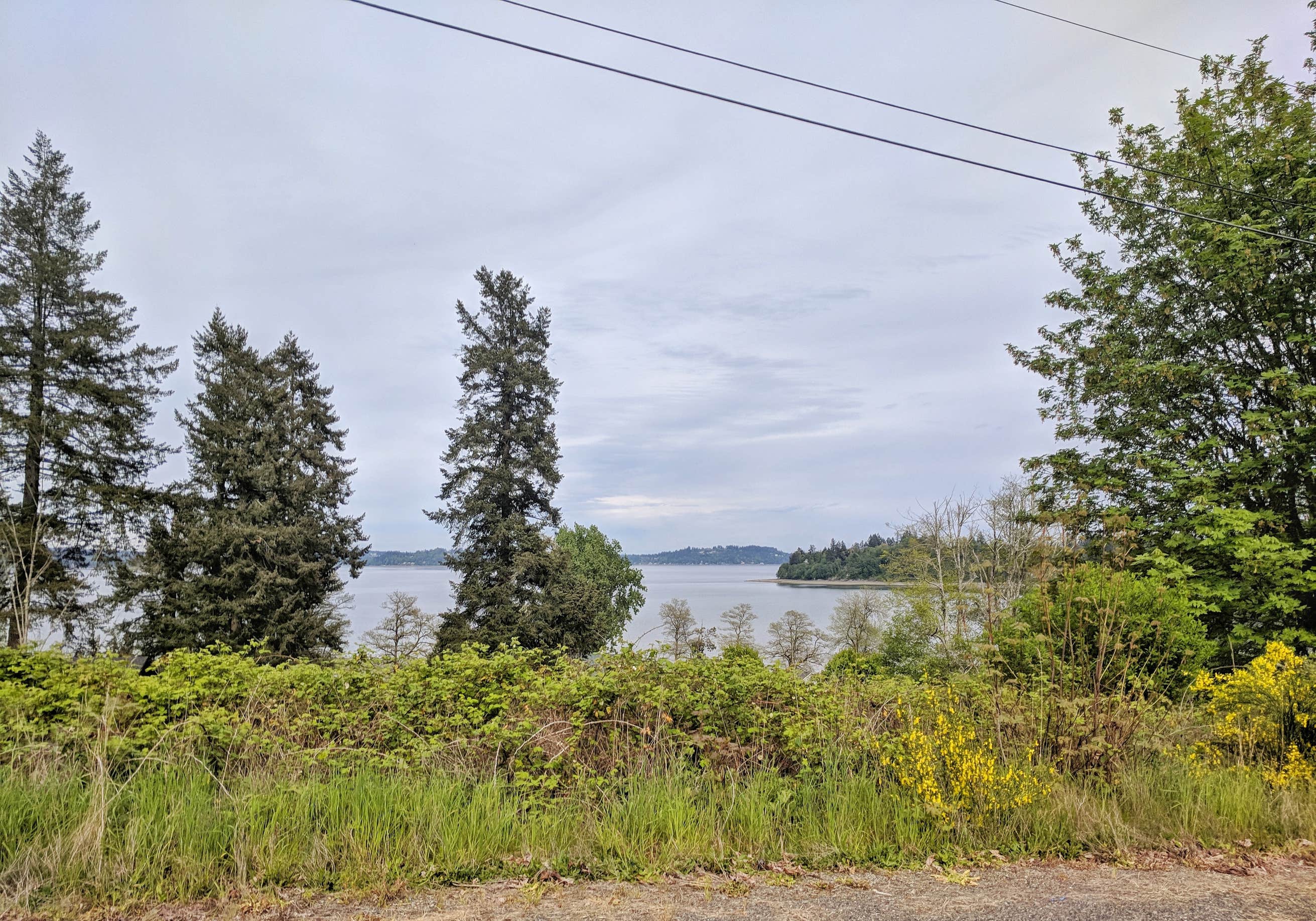 Penrose Point State Park Camping | The Dyrt