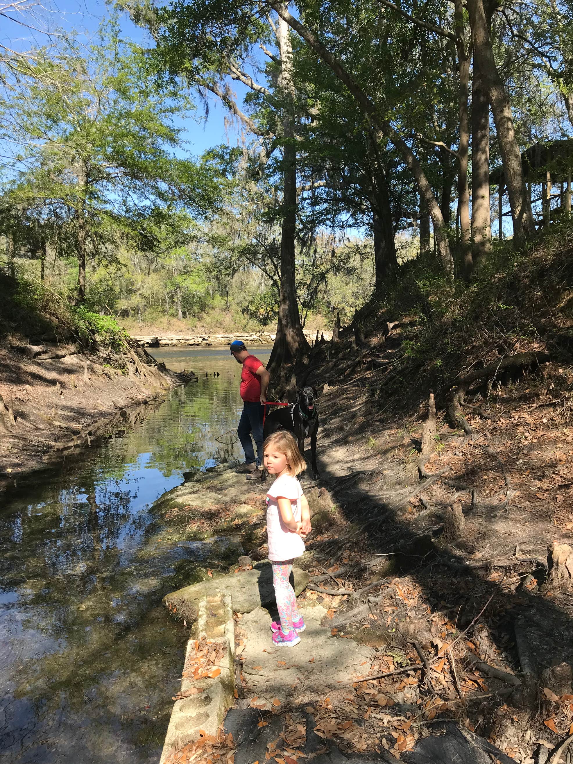 Suwannee River Rendezvous Resort | The Dyrt